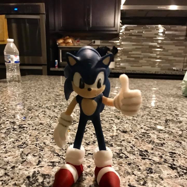 3D Print of Sonic The Hedgehog by KrisWalter