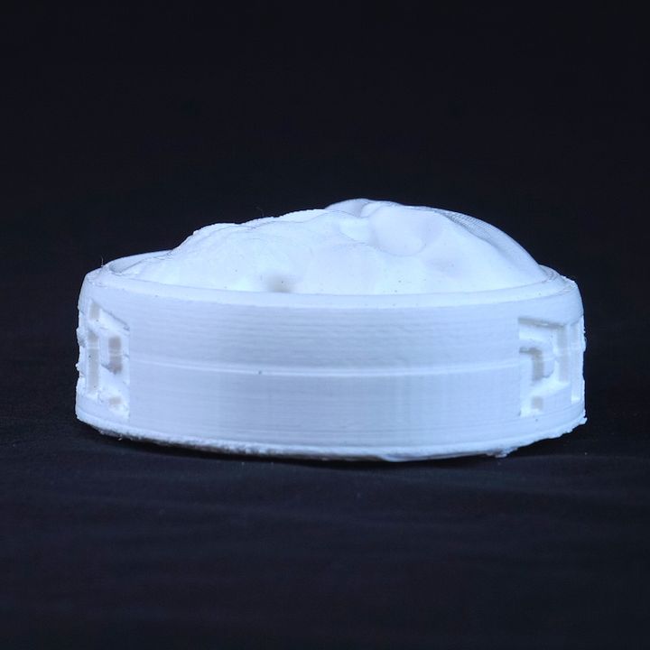 3D Printable Skull Lens Cap by David William Webb