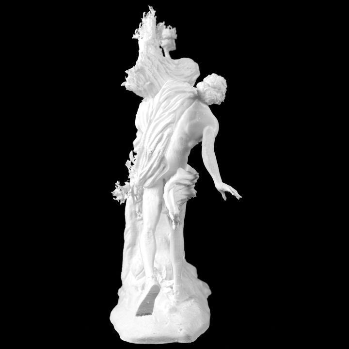 3D Printable Apollo and Daphne at the Galleria Borghese, Rome by Scan ...