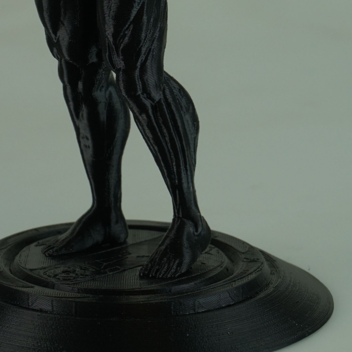3D Printable human figure MALE by Tony Camehl