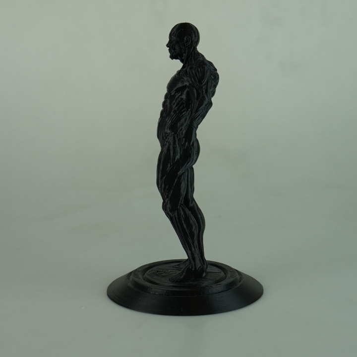 3D Printable human figure MALE by Tony Camehl