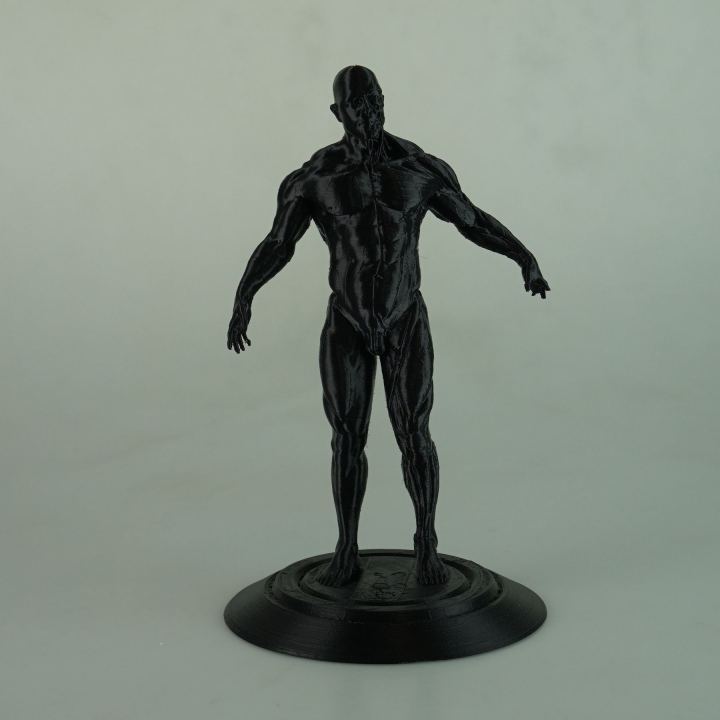 3D Printable human figure MALE by Tony Camehl