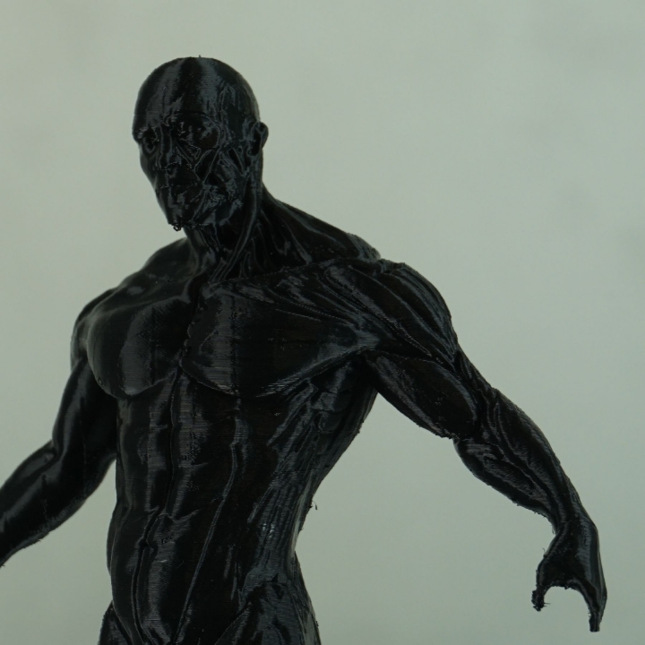 3D Printable human figure MALE by Tony Camehl