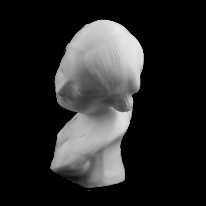 3D Printable Woman with a Drooping Head at The Petit Palais, France by ...