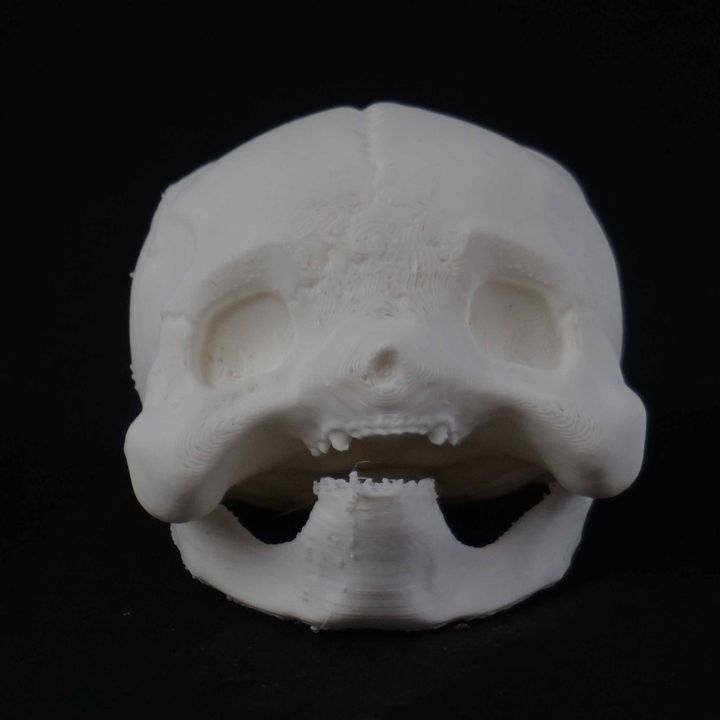 3D Printable Pikachu Pokéskull - Pokemon by Fynn Große-Bley