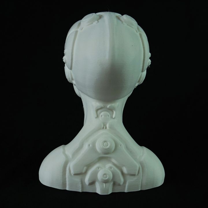 3D Printable The Armoured Baron Pilot Bust by David William Webb