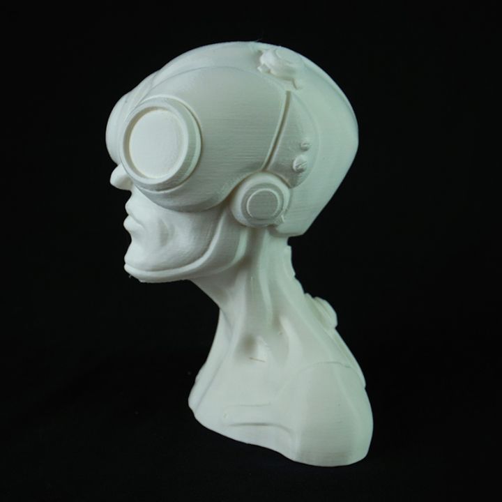 3D Printable The Armoured Baron Pilot Bust by David William Webb