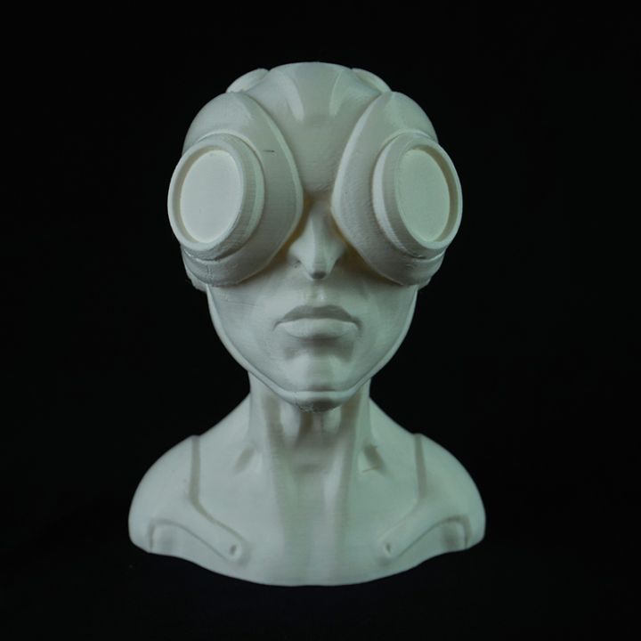 3D Printable The Armoured Baron Pilot Bust by David William Webb