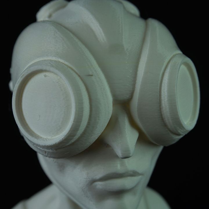3D Printable The Armoured Baron Pilot Bust by David William Webb