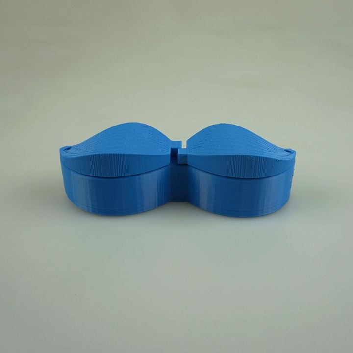 3D Printable Secret Stache by Sebastian Salas