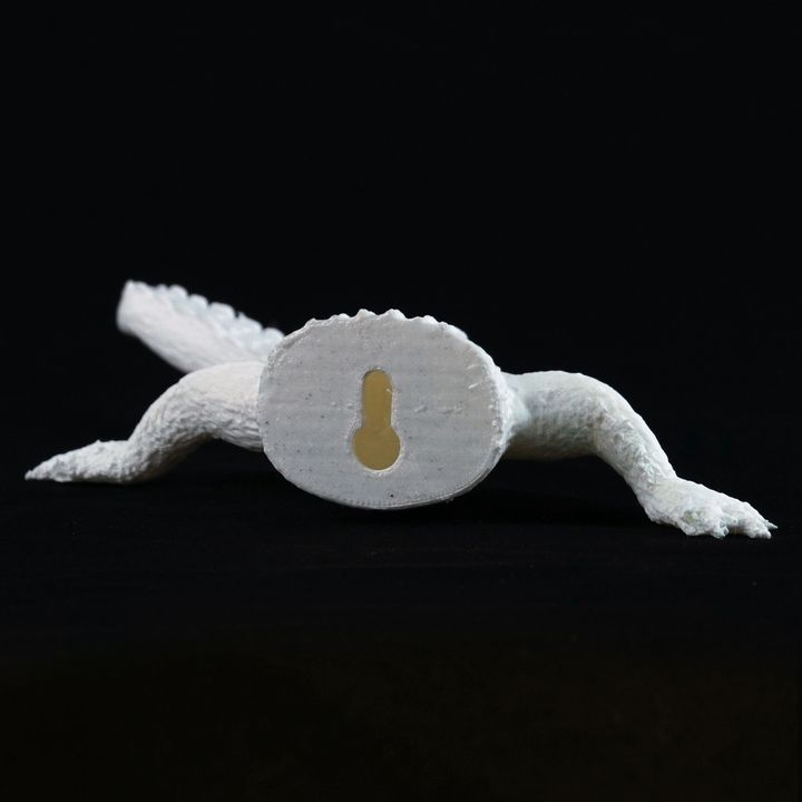 3D Printable Animal Behinds : Crocodile - Fridge Magnet and Wall ...