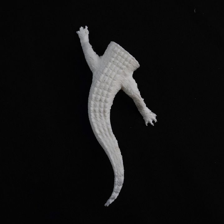 3D Printable Animal Behinds : Crocodile - Fridge Magnet and Wall ...