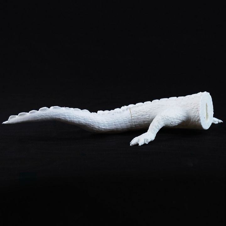 3D Printable Animal Behinds : Crocodile - Fridge Magnet and Wall ...
