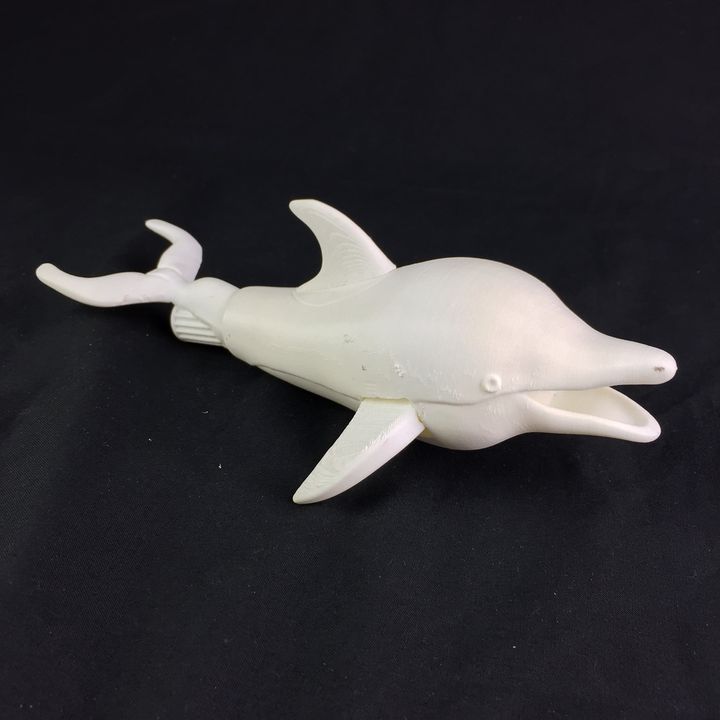 3D Printable Comedy Central Dolphin Toy - Moonbeam City by Lloyd Bolts