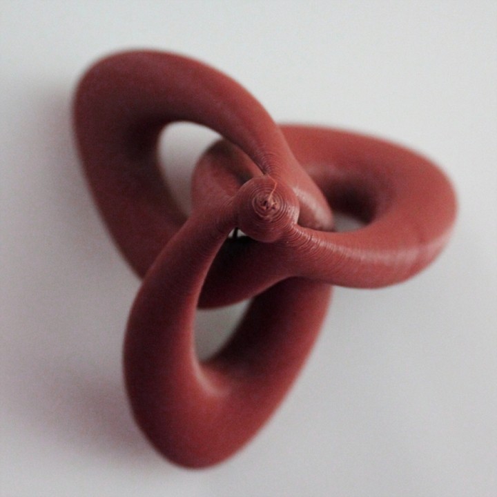 3D Print of Triple Torus Massager by stephanosphilippou