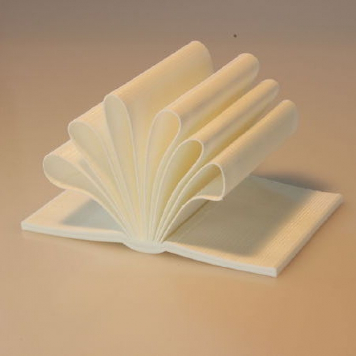 3D Printable The Book of Docs by BEEVERYCREATIVE