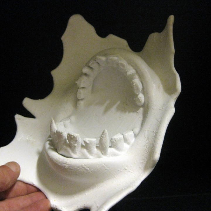 3D Printable Teeth Fruit Bowl by Peter Lemmens