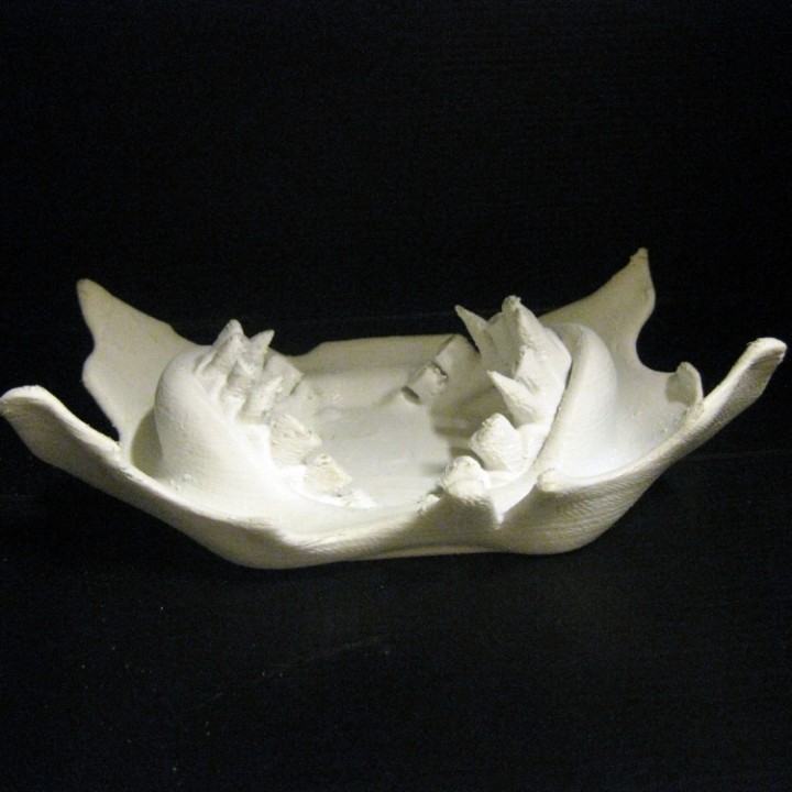 3D Printable Teeth Fruit Bowl by Peter Lemmens