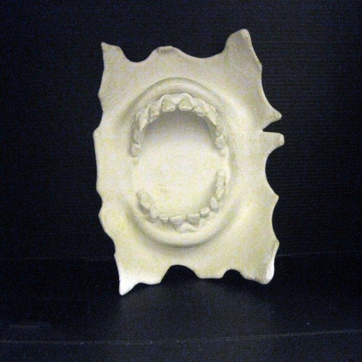 3D Printable Teeth Fruit Bowl by Peter Lemmens