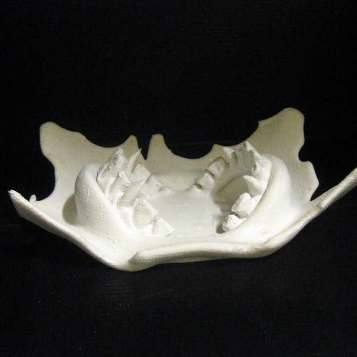 3D Printable Teeth Fruit Bowl by Peter Lemmens
