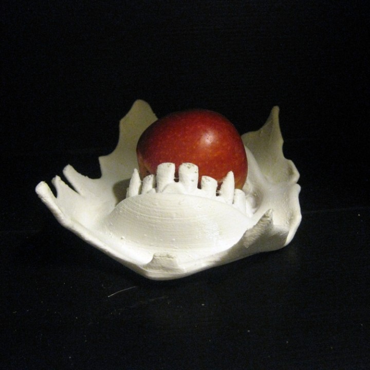 3D Printable Teeth Fruit Bowl by Peter Lemmens