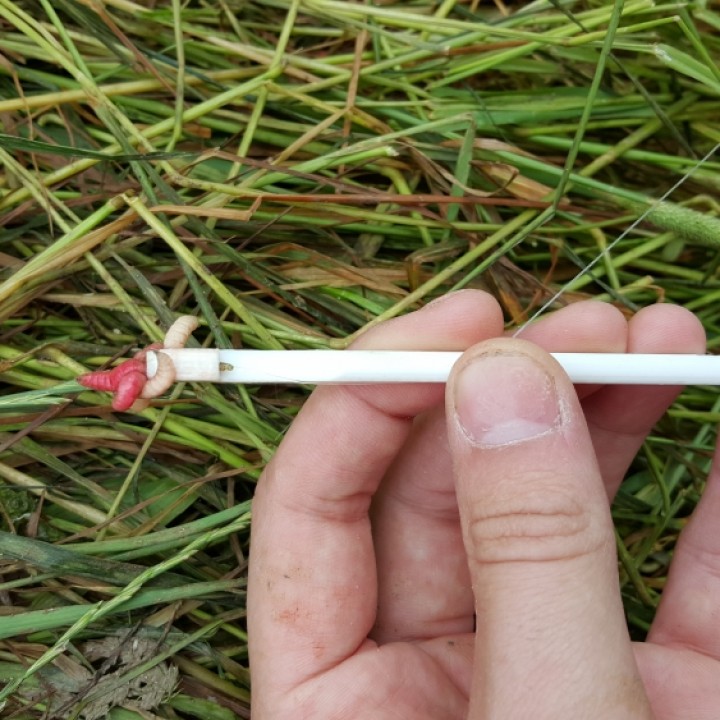 3D Printable Disgorger by lewis