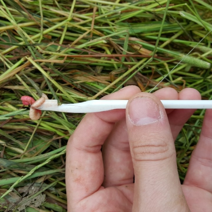 3D Printable Disgorger by lewis