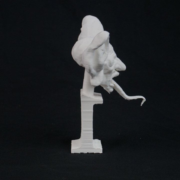 3D Printable Devil's head by Mark Kovalchuk