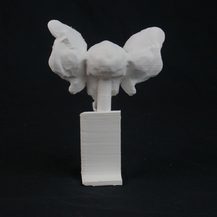 3D Printable Devil's head by Mark Kovalchuk