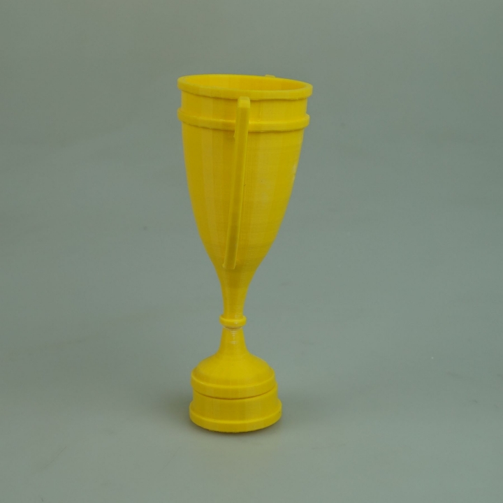 3D Printable Trophy_01 by Kai Cheng & His Students