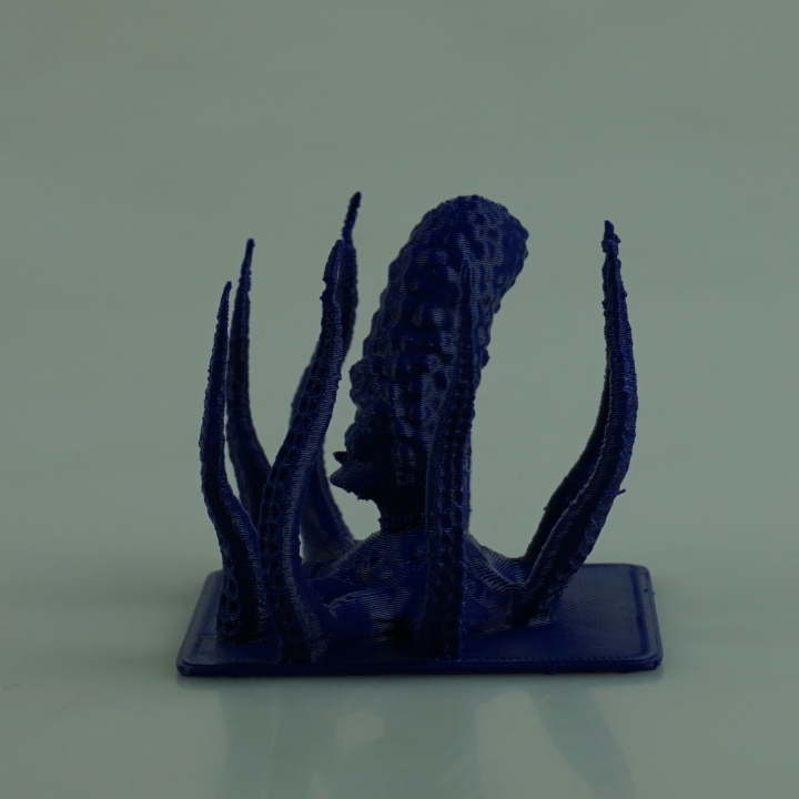 3D Printable Octopus + Marge Simpson by Aurore DUDU