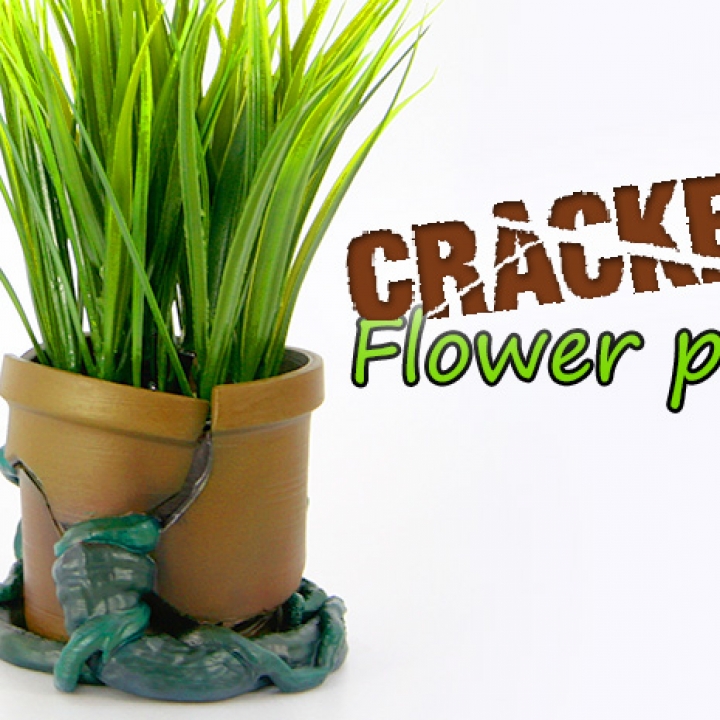 3D Printable Cracked Flower pot by Sander