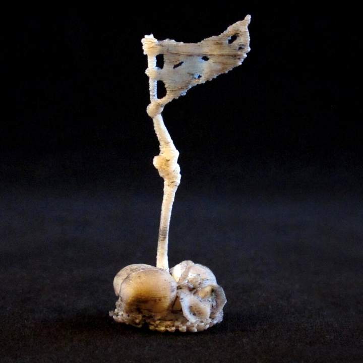 3D Printable Seej Battle Flag, Charnel by Zheng3