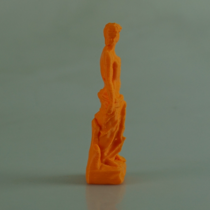 3D Printable David De Milo by Charlotte Jansen