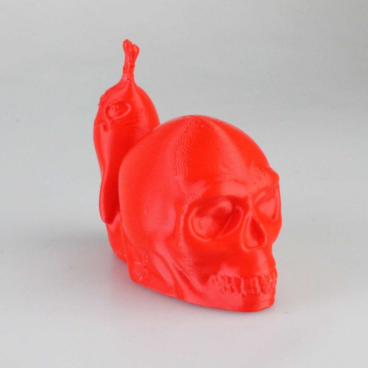 3D Printable The Lich Snail! Skull Version! by Ricardo Salomao