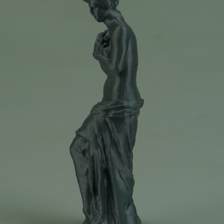 3D Printable Venus de Ghetto by IOxOI