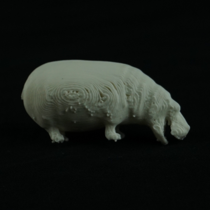 3D Printable Hippo 3D Model by Anup Nair