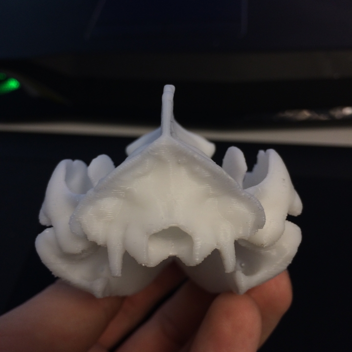 3D Printable Skull of a virginia opossum by Steven Pfaff