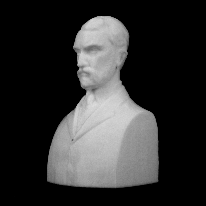 3D Printable Gheorghe Popa in Arad, Romania by Alban Pllana