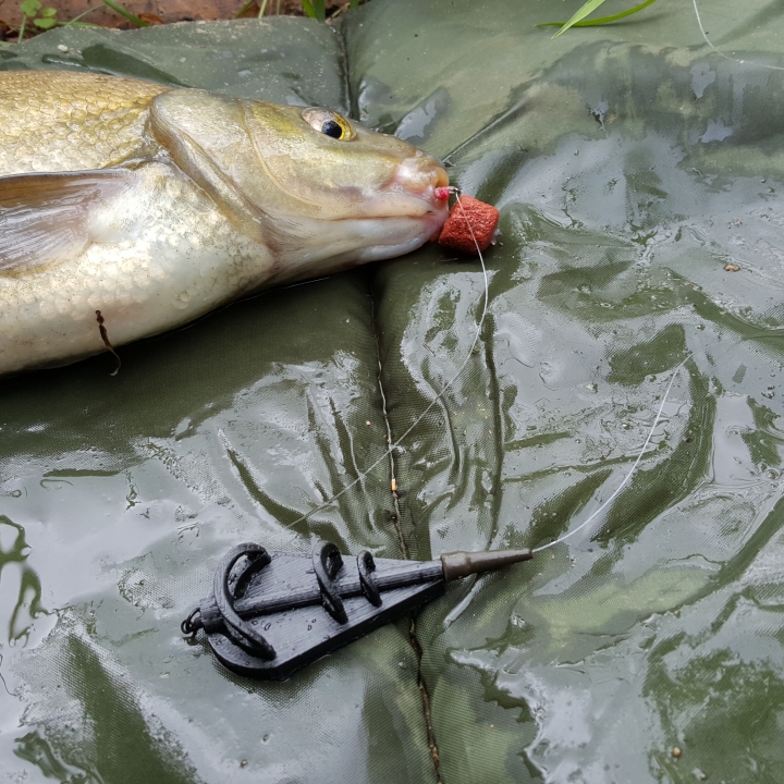 3D Printable INLINE METHOD FEEDER FISHING by lewis