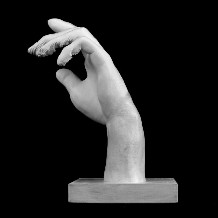 3D Printable Hand of Adam - The Creation of Man at The Musée Rodin ...