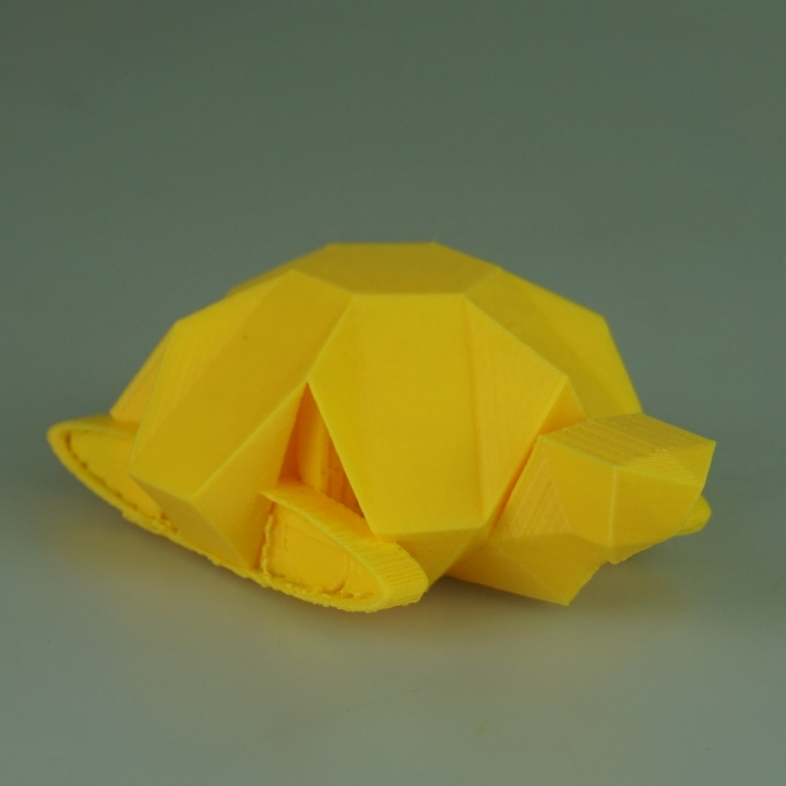 3D Printable terrence design by DGPS