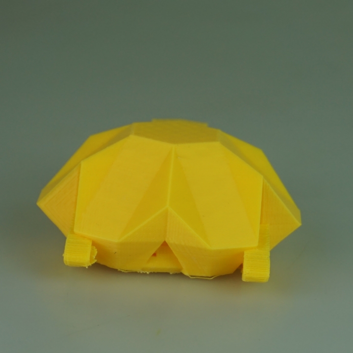3D Printable terrence design by DGPS