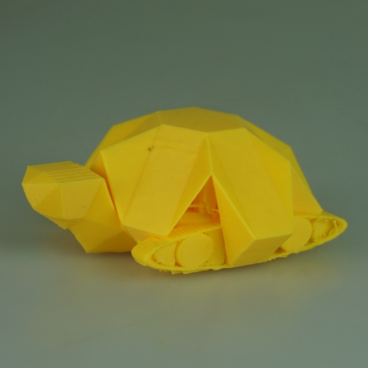 3D Printable terrence design by DGPS