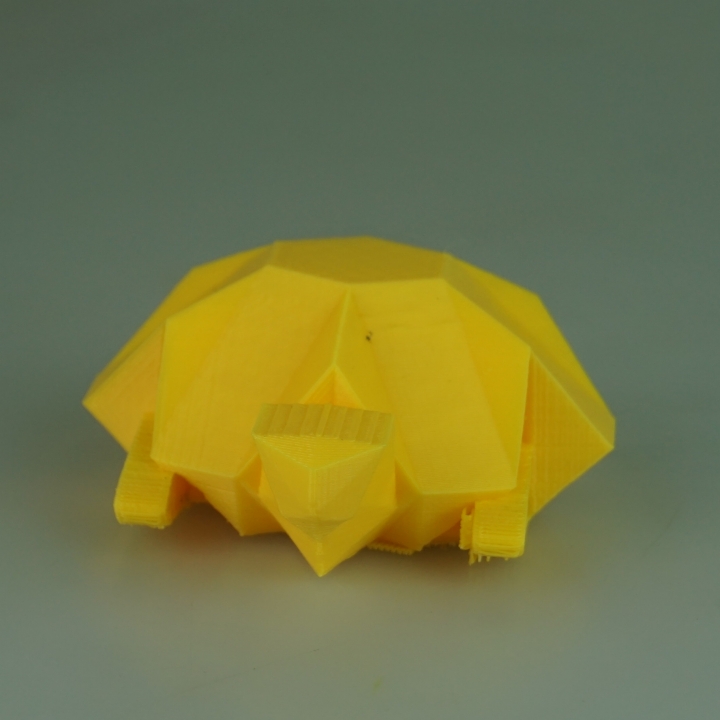 3D Printable terrence design by DGPS