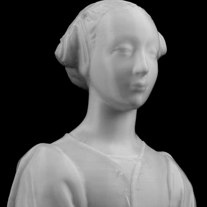 3D Printable Saint Constance at The Réunion des Musées Nationaux, Paris ...