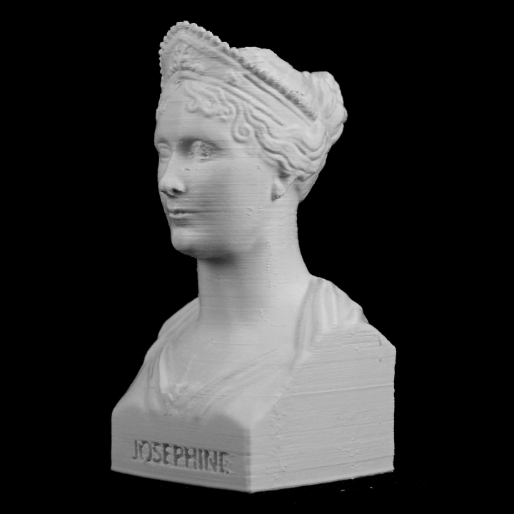 3D Printable Empress Josephine at The Réunion des Musées Nationaux ...
