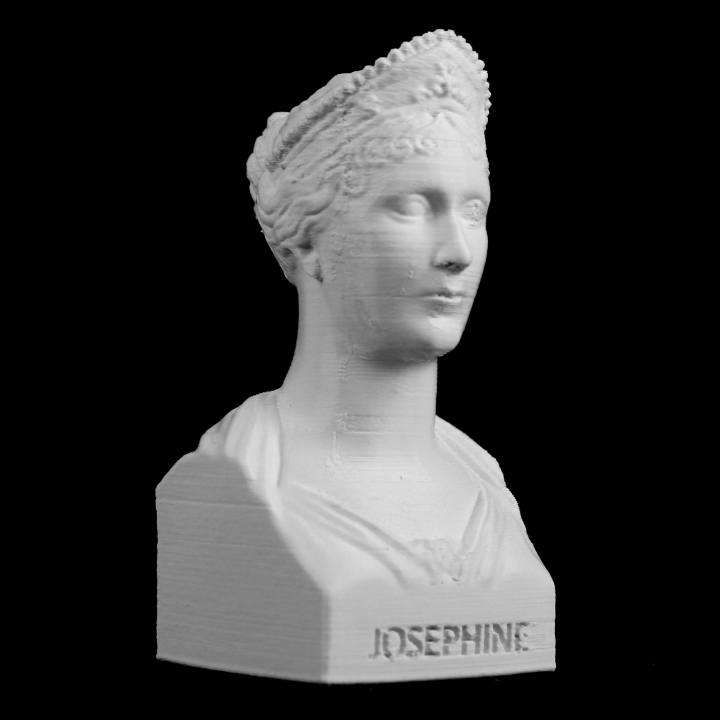 3D Printable Empress Josephine at The Réunion des Musées Nationaux ...