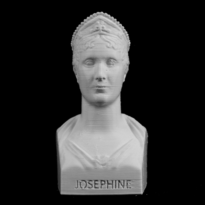 3D Printable Empress Josephine at The Réunion des Musées Nationaux ...
