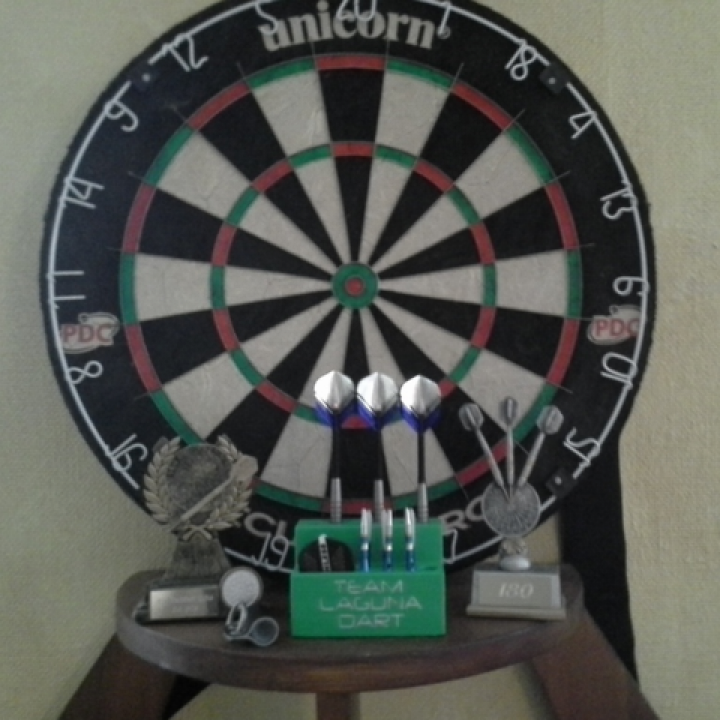 3D Printable DART GEAR ORGANISER TEAM LAGUNA DART by Daniel Noree